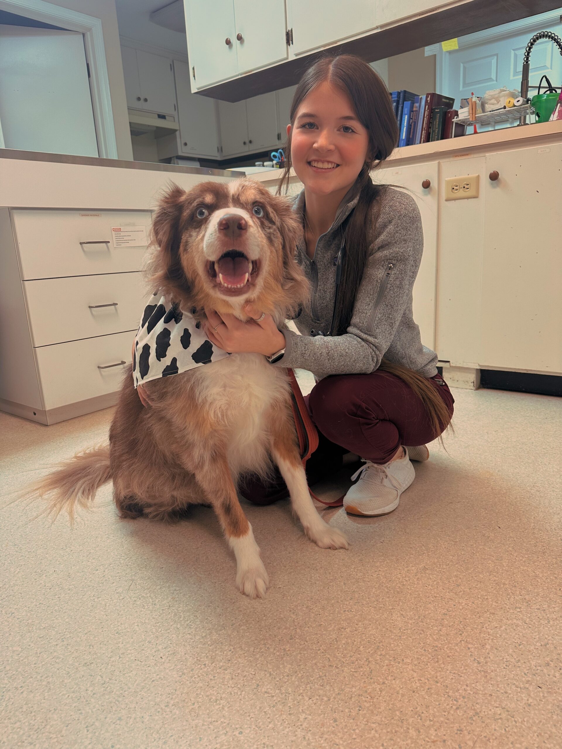 Meet the Team – Copper Ridge Animal Hospital